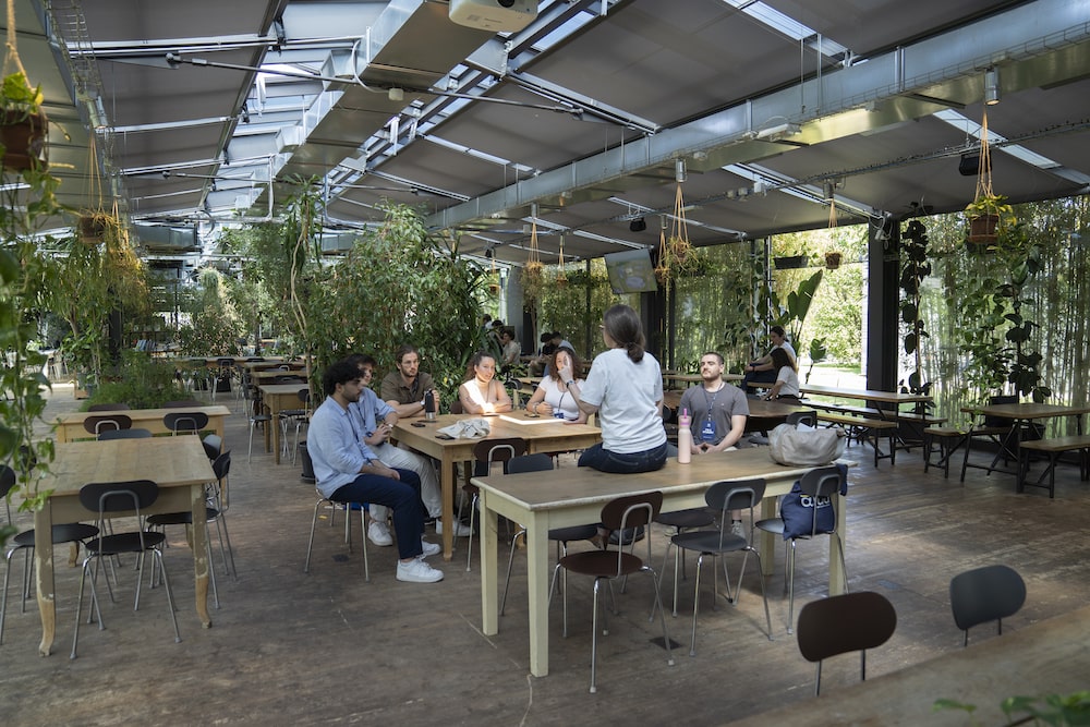 Mentoring Program - H-FARM College